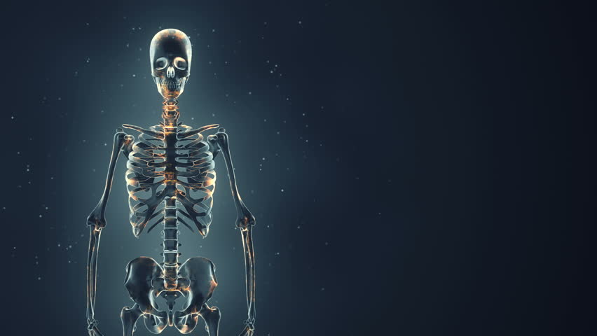 abstract background animation rotation realistic human Stock Footage ...
