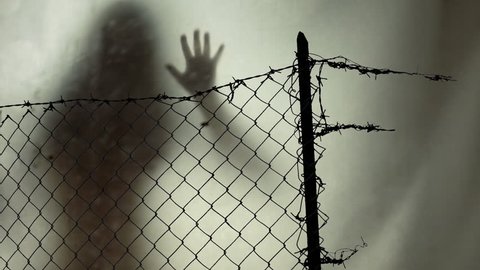 Silhouette Body Young Woman Appears Shadow Stock Footage Video (100% ...