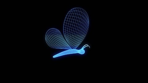 Butterfly Hologram Wireframe Animation 30 Fps Stock Footage Video (100% ...