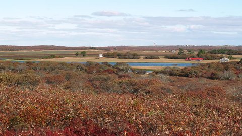 Static Shot Nantucket Island Moors Cranberry Stock Footage Video (100% ...