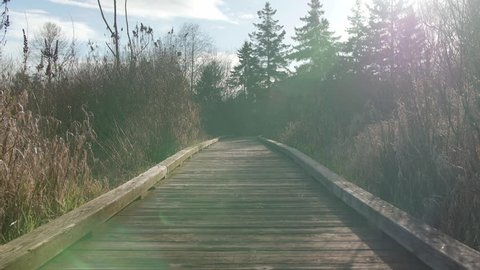 Stumpy Lake Fishing Pier Snow Ice Stock Photo (Edit Now) 380921572