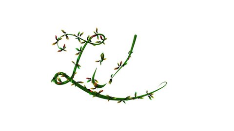 Animation Growing Vine Spelling Name Life Stock Footage Video (100% ...