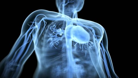 Chest Xrays Under 3d Image Lungs Stock Footage Video (100% Royalty-free ...