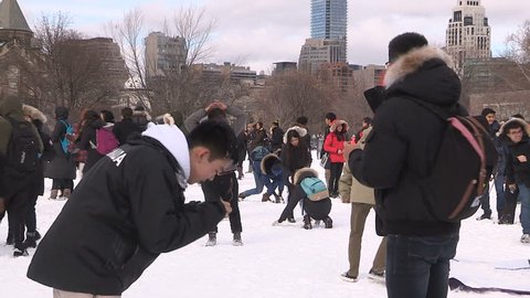 Toronto Ontario Canada March 2016 Toronto Stock Footage Video (100% ...