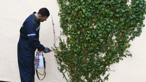 Man Doing Pest Control Outside House Stock Footage Video (100% Royalty ...