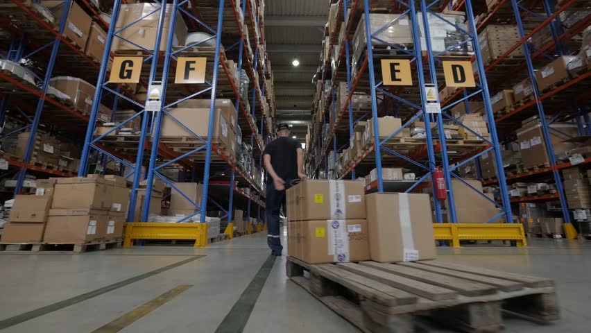 Serbia 2015. Workers Sorting Goods Stock Footage Video (100% Royalty ...