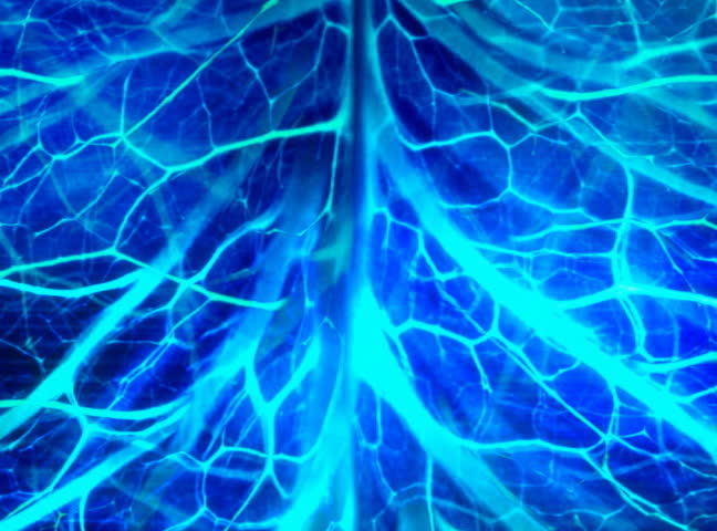 Blue Nerve System Electrical Pulse Stock Footage Video (100% Royalty ...