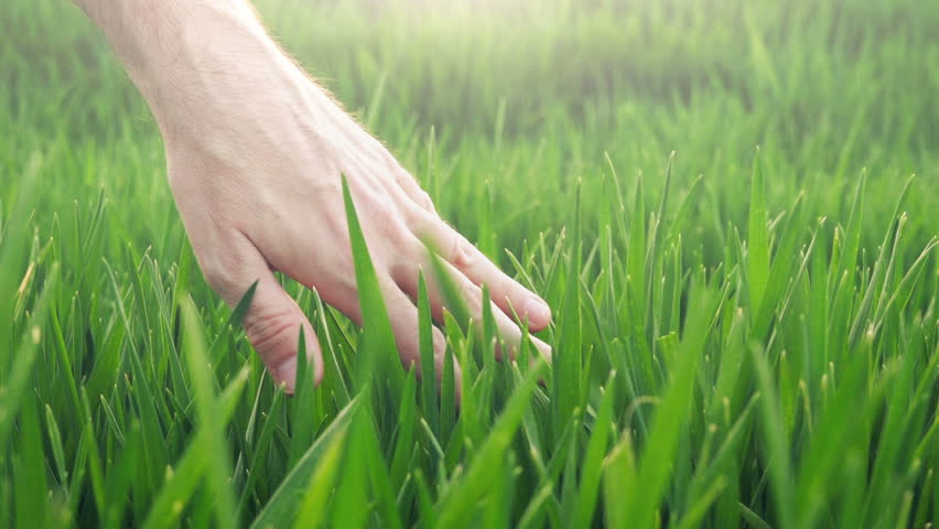 Farmers Hand in Cultivated Field Stock Footage Video (100% Royalty-free ...