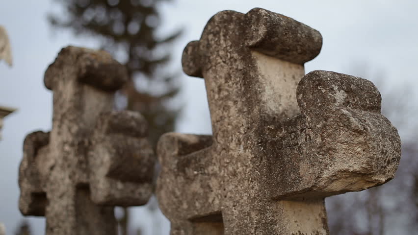 Funeral Bird Stock Video Footage - 4K and HD Video Clips | Shutterstock