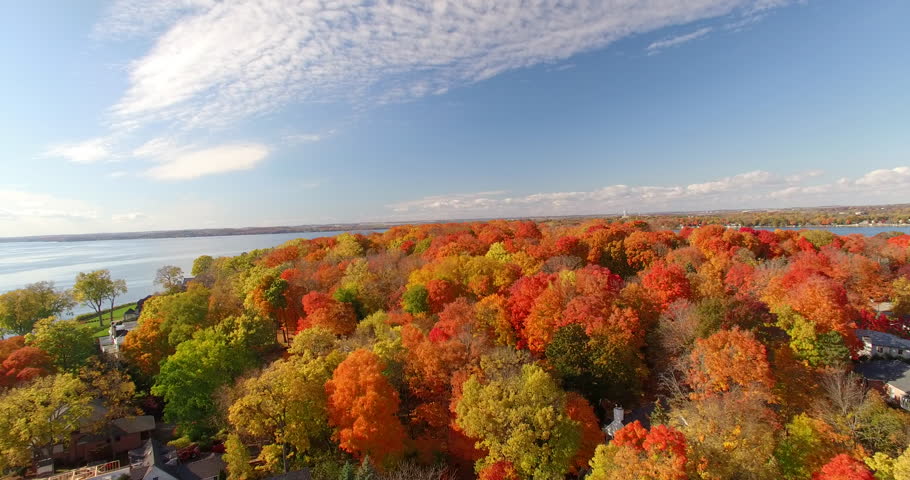 Autumn Trees in Madison, Wisconsin image - Free stock photo - Public ...