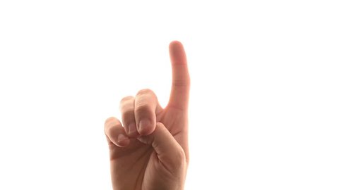 Hand Holding Human Stomach On White Stock Photo 1740536027 | Shutterstock