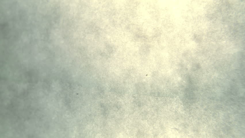 thin strip ink bleeding into parchment Stock Footage Video (100% ...