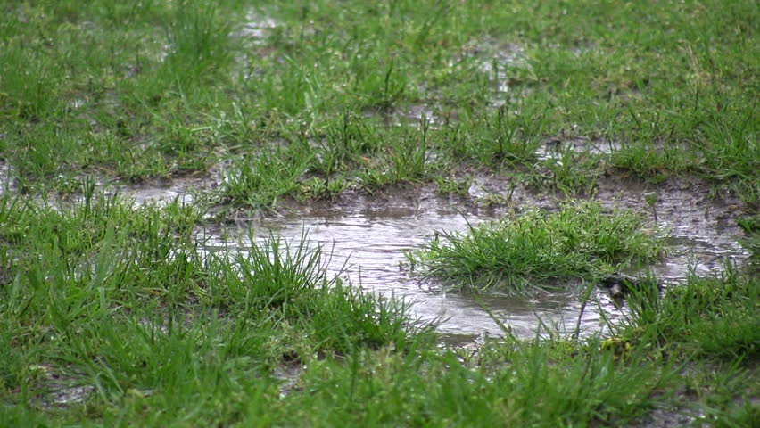 spring rain drops create ripples puddles Stock Footage Video (100% ...