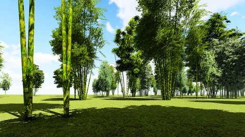 Bamboo Forest Animation Stock Footage Video (100% Royalty-free ...