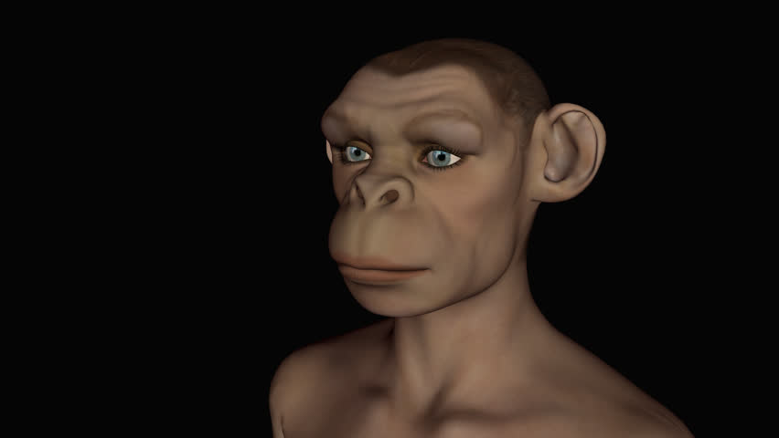 evolution monkey morphs woman Stock Footage Video (100% Royalty-free ...