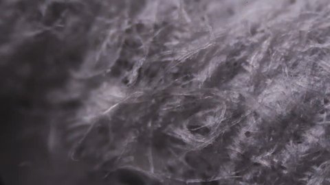 Tissue Paper Fibers Under Microscope Stock Footage Video (100% Royalty-free) 16060417 | Shutterstock