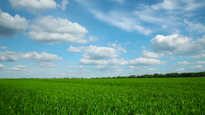 White Clouds Over Field with Stock Footage Video (100% Royalty-free ...
