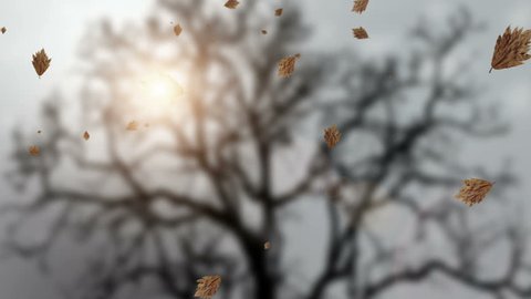 Falling Brown Leaves Tree Branch Background Stock Footage Video (100% ...