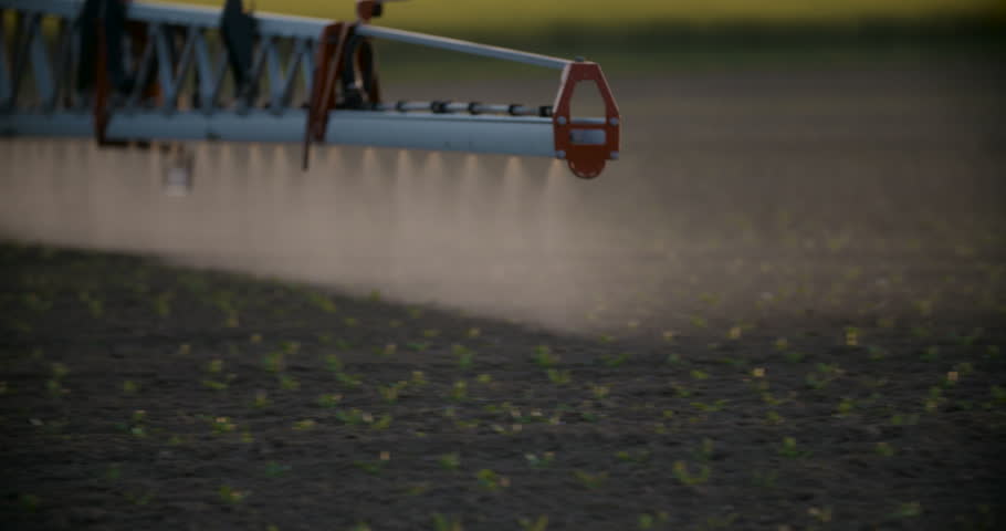 Driving Parasite Stock Video Footage - 4K and HD Video Clips | Shutterstock