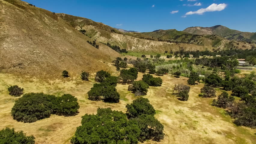 aerial view rolling hills oak trees Stock Footage Video (100% Royalty ...