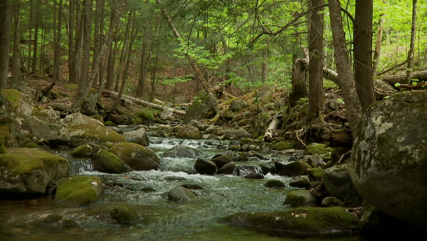 ws rocky stream slow-motion Stock Footage Video (100% Royalty-free ...