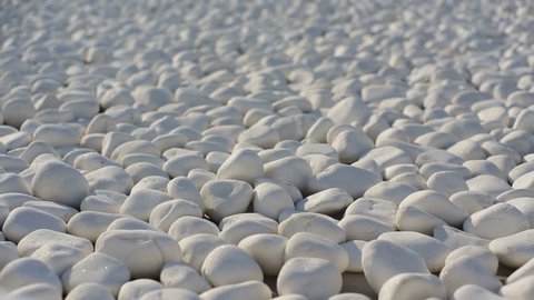 Collection Pebbles Filling Whole Frame Hd Stock Footage Video (100% ...