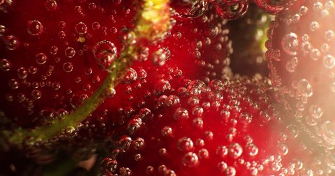 super slow motion shot ice tea Stock Footage Video (100% Royalty-free ...