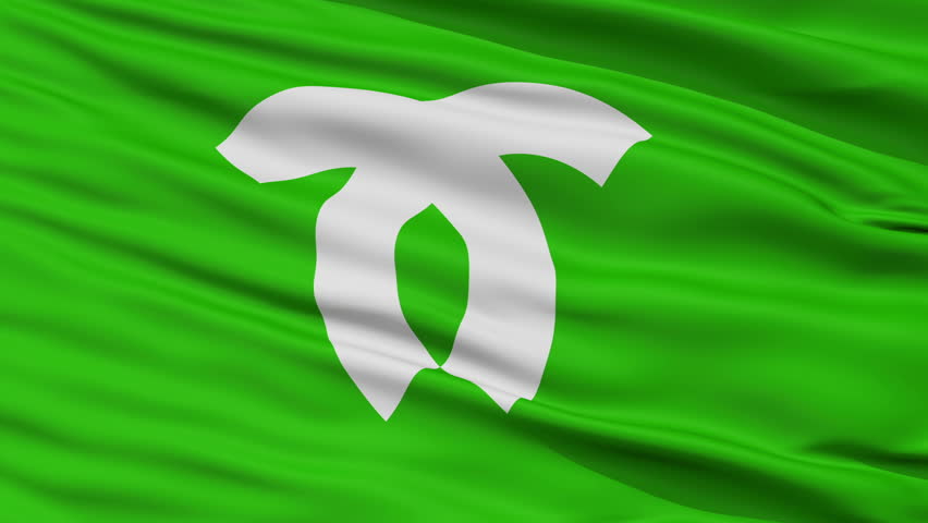 Kobe Capital City Flag, Hyogo Stock Footage Video (100% Royalty-free ...