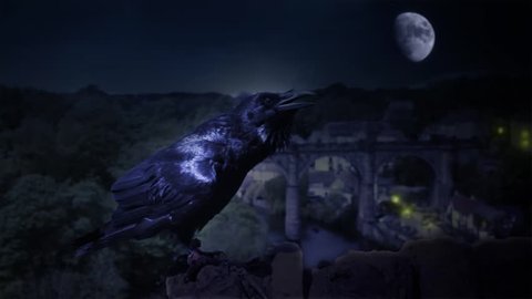 Gothic Raven Castle Spooky Moon Halloween Stock Footage Video (100% ...