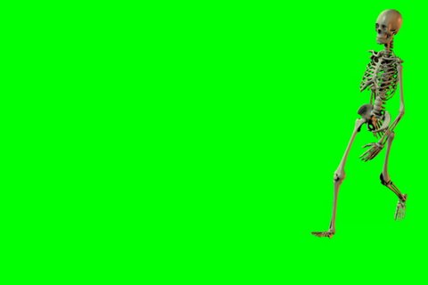 Skeleton Walk Animation Gi Render Green Stock Footage Video (100% ...