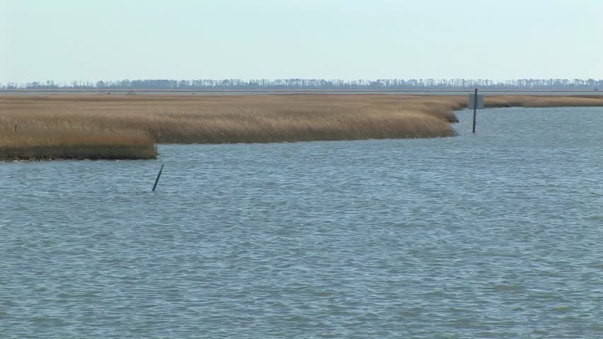 Salt Marsh landscape in Virginia image - Free stock photo - Public ...
