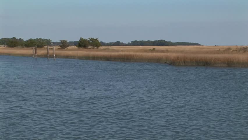 Salt Marsh landscape in Virginia image - Free stock photo - Public ...