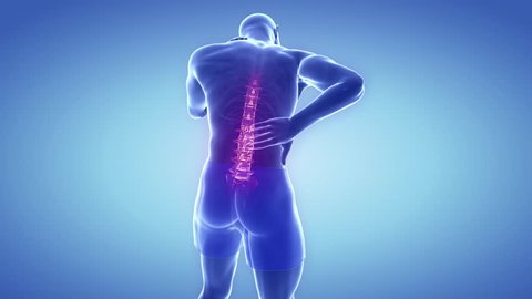 Strong Spine Stock Photo (Edit Now) 570625726