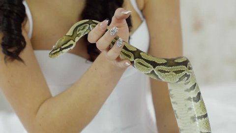 Beautiful Young Woman Posing Snake Stock Footage Video (100% Royalty ...
