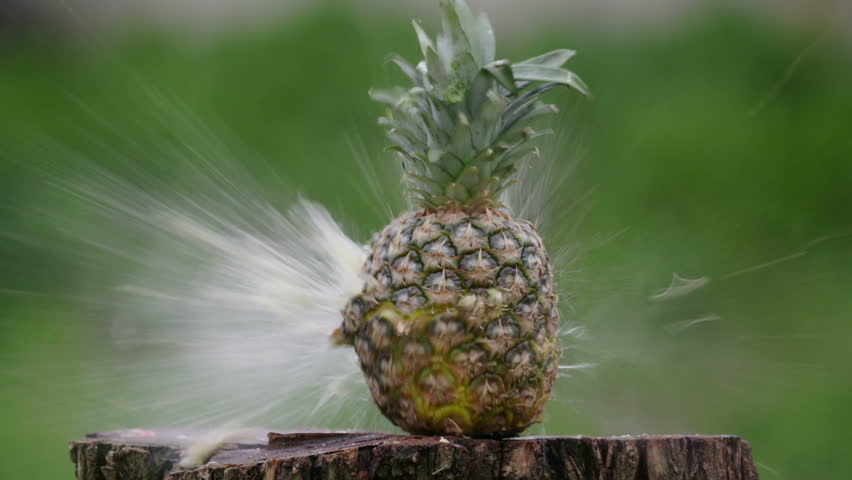 fresh pineapple gun shot native slow Stock Footage Video (100% Royalty ...