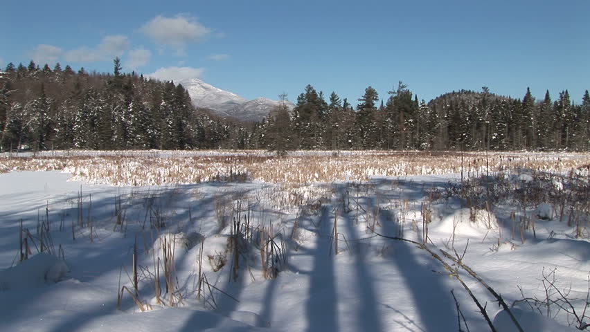Snow-covered Swamp, Woods and Mountain Stock Footage Video (100% ...