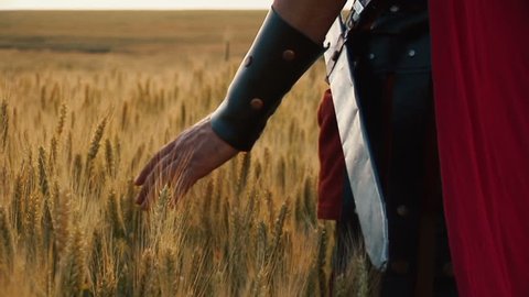 Wheat Field Photo By Mayur Mamtora Stock Photo 1520376857 | Shutterstock