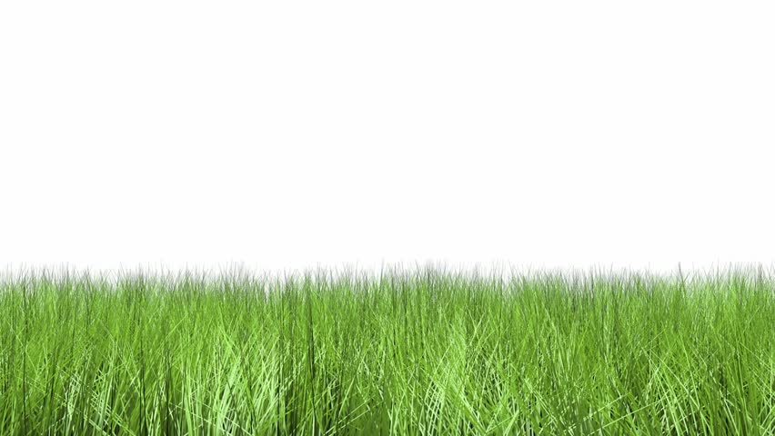 Grass Moving in the Wind Stock Footage Video (100% Royalty-free ...