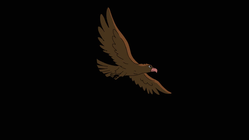 Flying Eagle 2. Hand-drawn Animation Stock Footage Video (100% Royalty ...