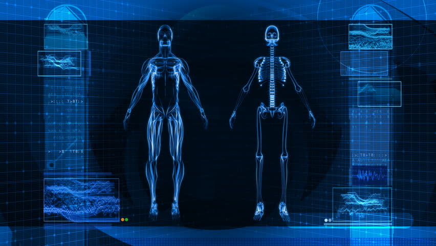 Digital Xray Scan Human Body Hd Stock Footage Video (100% Royalty-free ...