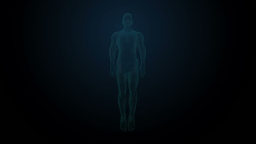 anatomy of human gallbladder and pancreas with digestive organs in x ...