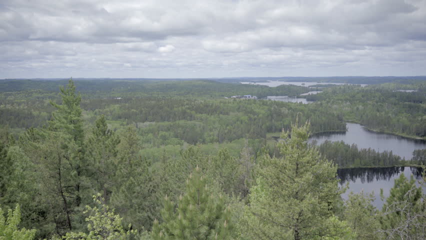 forest wilderness ontario canada trees lake Stock Footage Video (100% ...