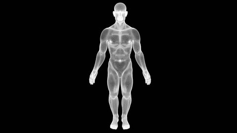 transparent male female body medical animation Stock Footage Video (100 ...