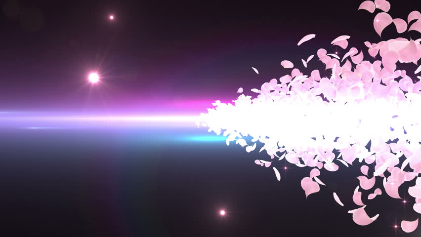 rose flower petals lens flares: video de stock (totalmente libre de ...