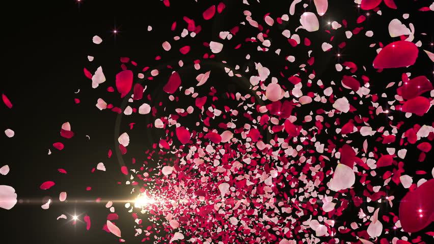 flowers explosion animation motion graphic background Stock Footage ...