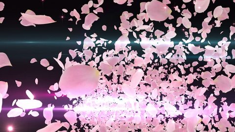 Rose Flower Petals Lens Flares Stock Footage Video (100% Royalty-free ...