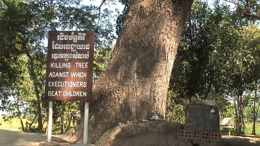 killing tree disturbing sign Stock Footage Video (100% Royalty-free ...