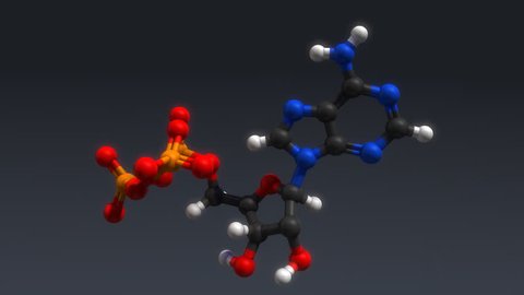 Rna structure Stock Video Footage - 4K and HD Video Clips | Shutterstock
