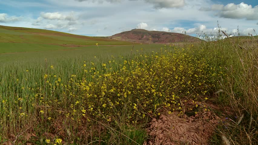 peru scenery andes mountains near cusco Stock Footage Video (100% ...
