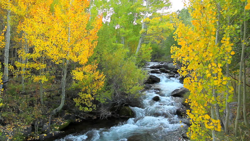 Beautiful Mountain River with Amazing Stock Footage Video (100% Royalty ...